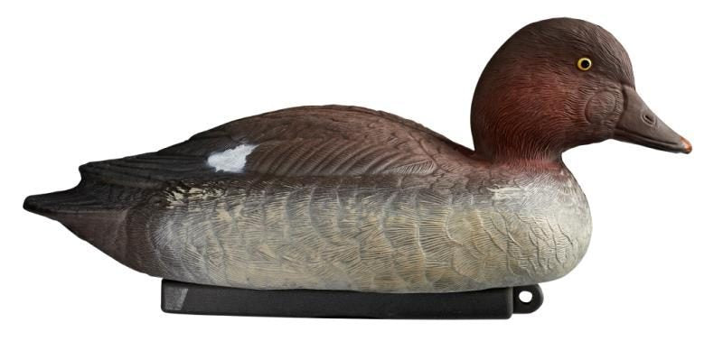 Hvinand Flydende Hun Lokkefugl